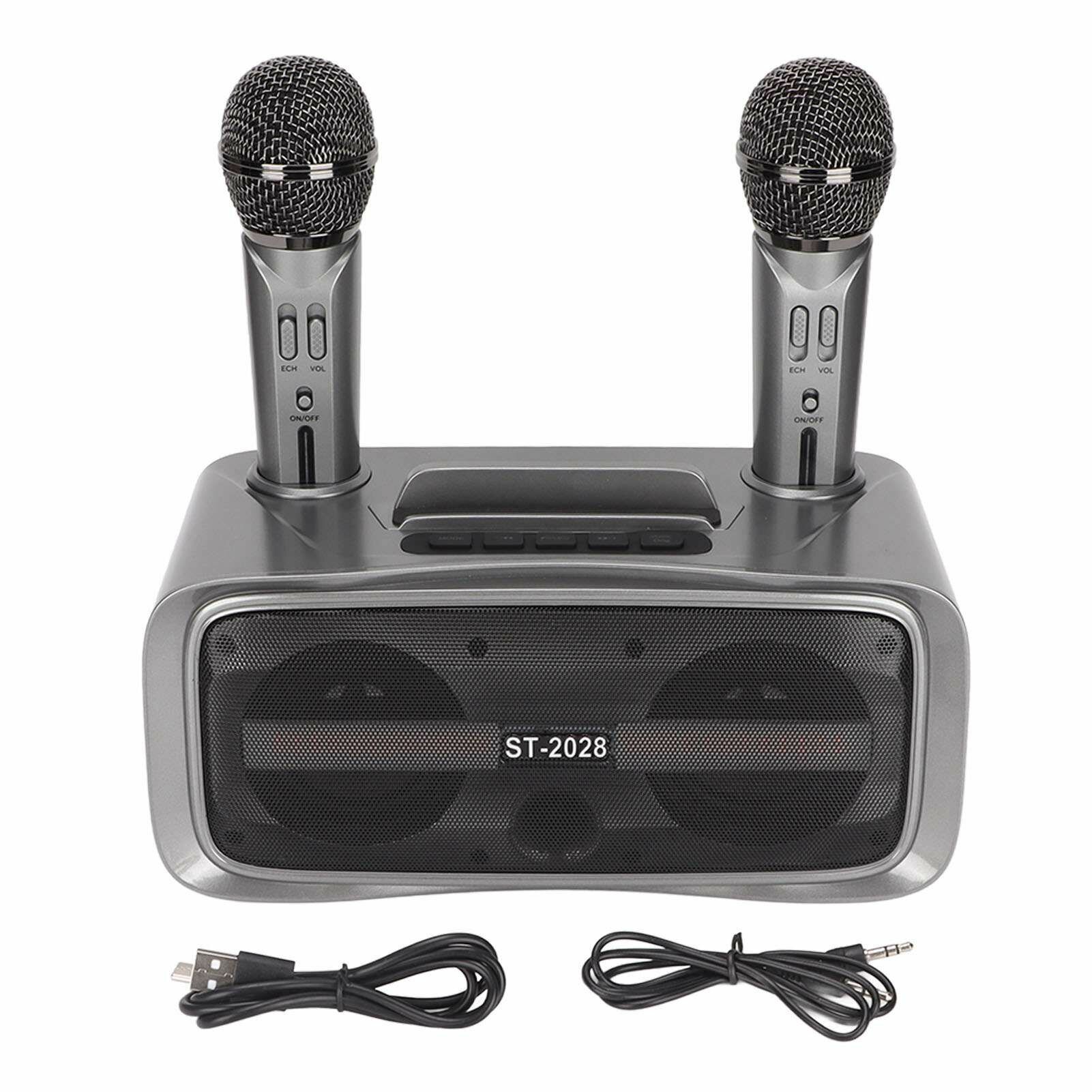 Портативная караоке-акустическая система ST-2028, Bluetooth, с 2 микрофонами, серебристо-черная