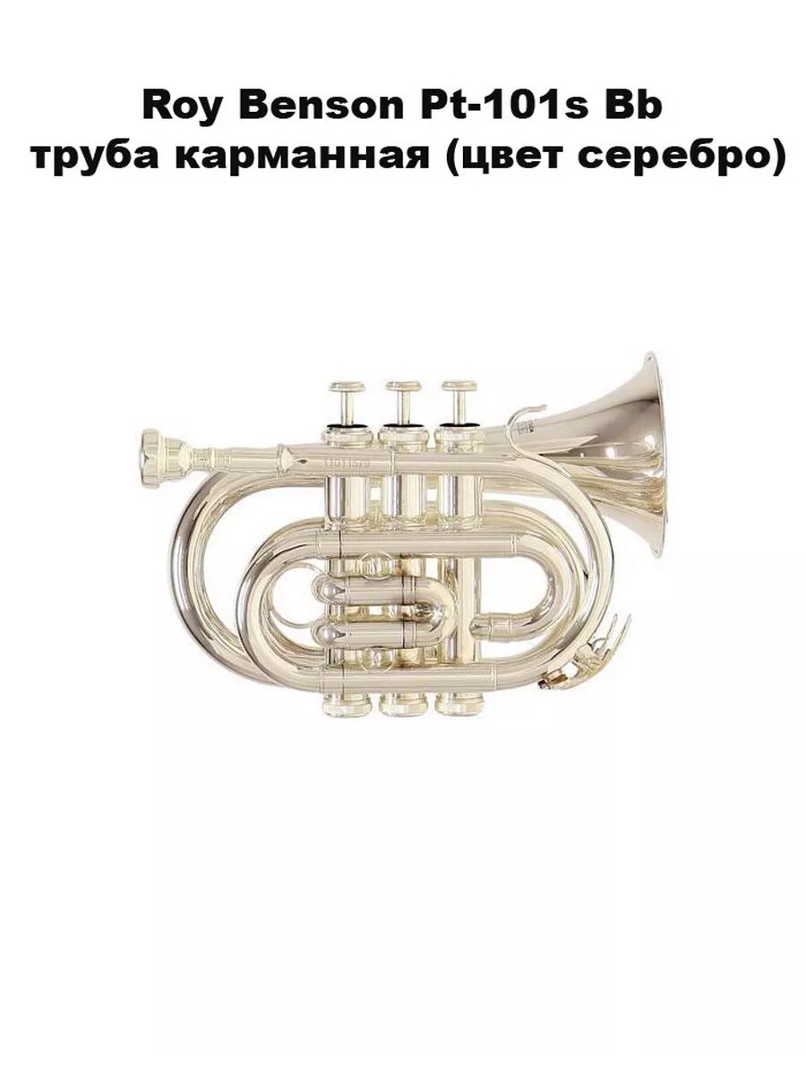 Roy Benson Pt-101s Bb - труба карманная (цвет серебро)