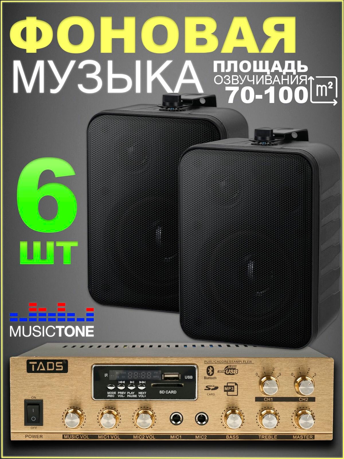 Акустика для кафе MusicTone MT02B-6