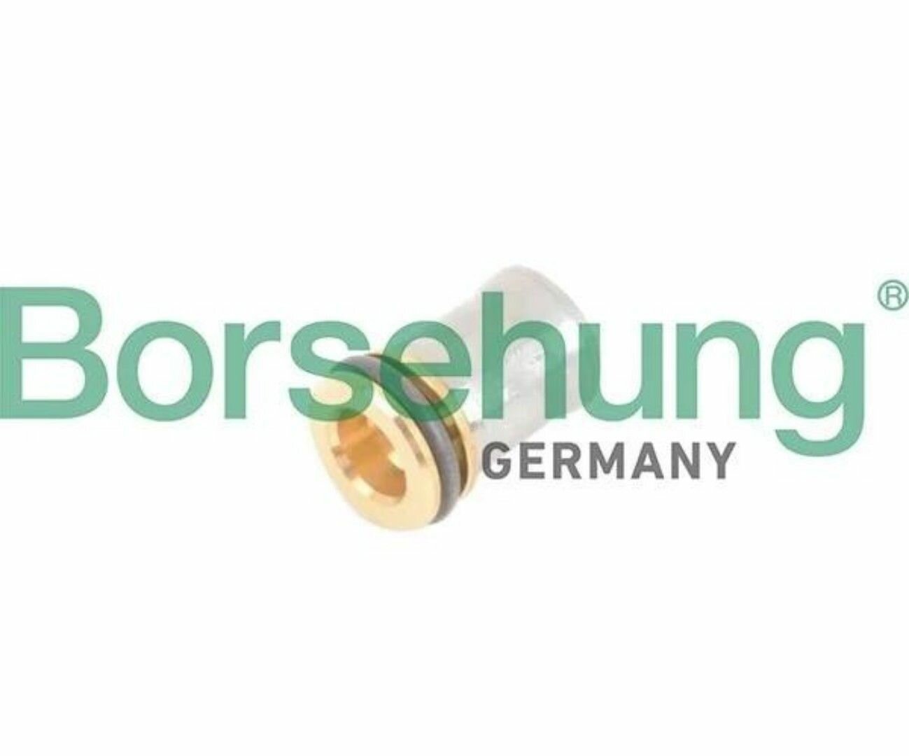 Клапан обратный Borsehung B12241 Iveco Daily II 05.99-03.06