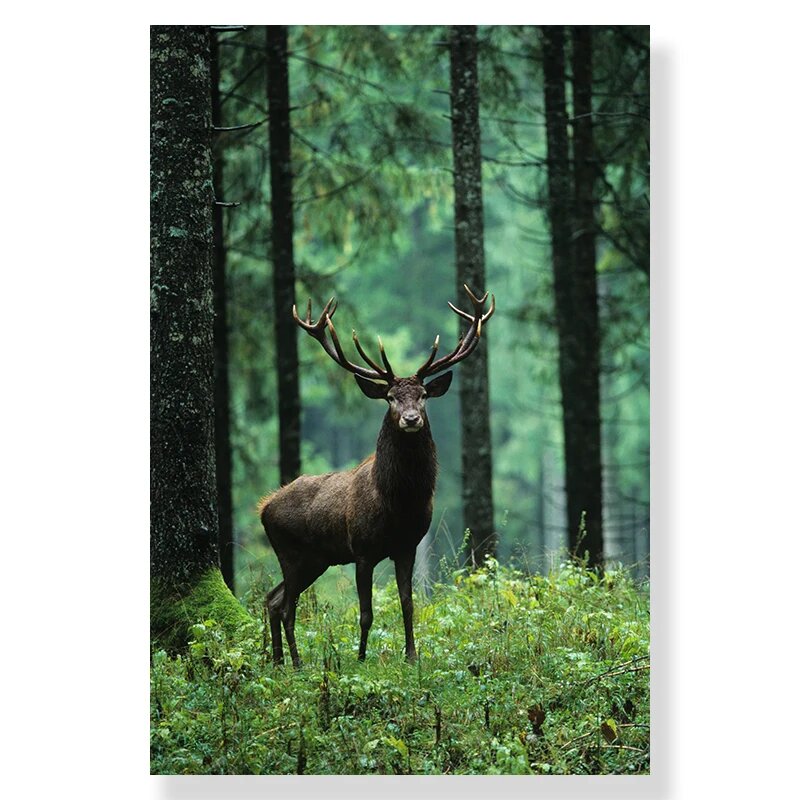 Зеленый лес холст плакат дикий олень водопад струток цветок лист весна спальня принт живопись природа пейзаж картина искусство