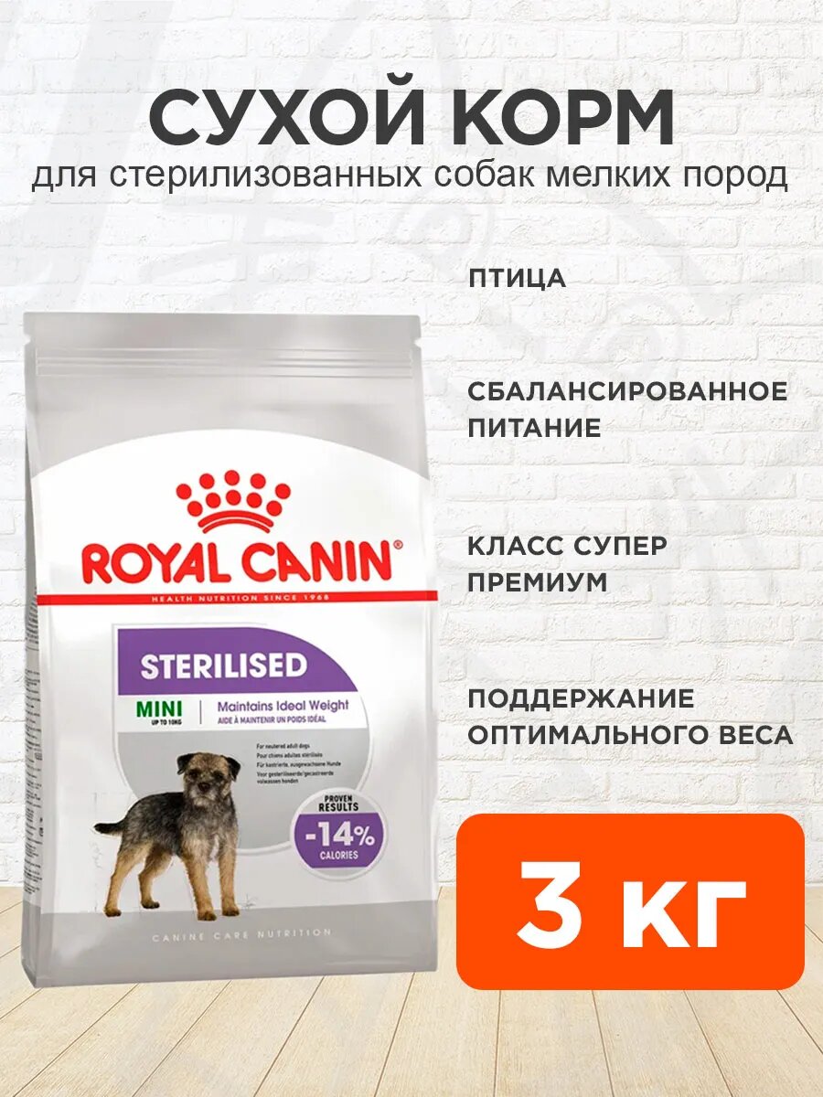 Корм сухой Royal Canin Mini Sterilised Adult для кастрированных и стерилизованных взрослых собак маленьких пород, 3 кг