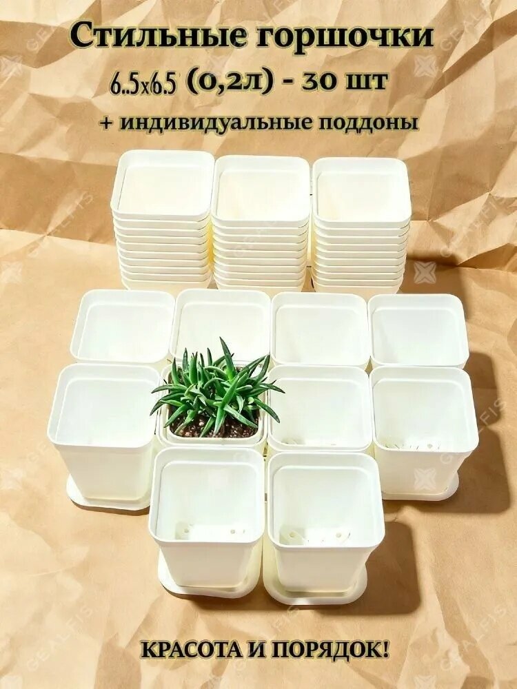Горшок для цветов 7 см, 30 шт, цвет слоновая кость