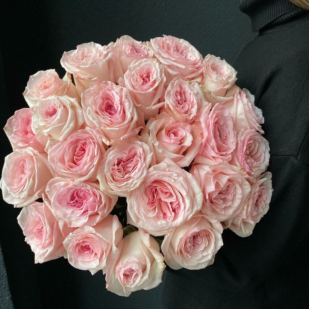 Букет роз из 25 розовых пионовидных роз премиум сорт дэвид остин, высота 50 см