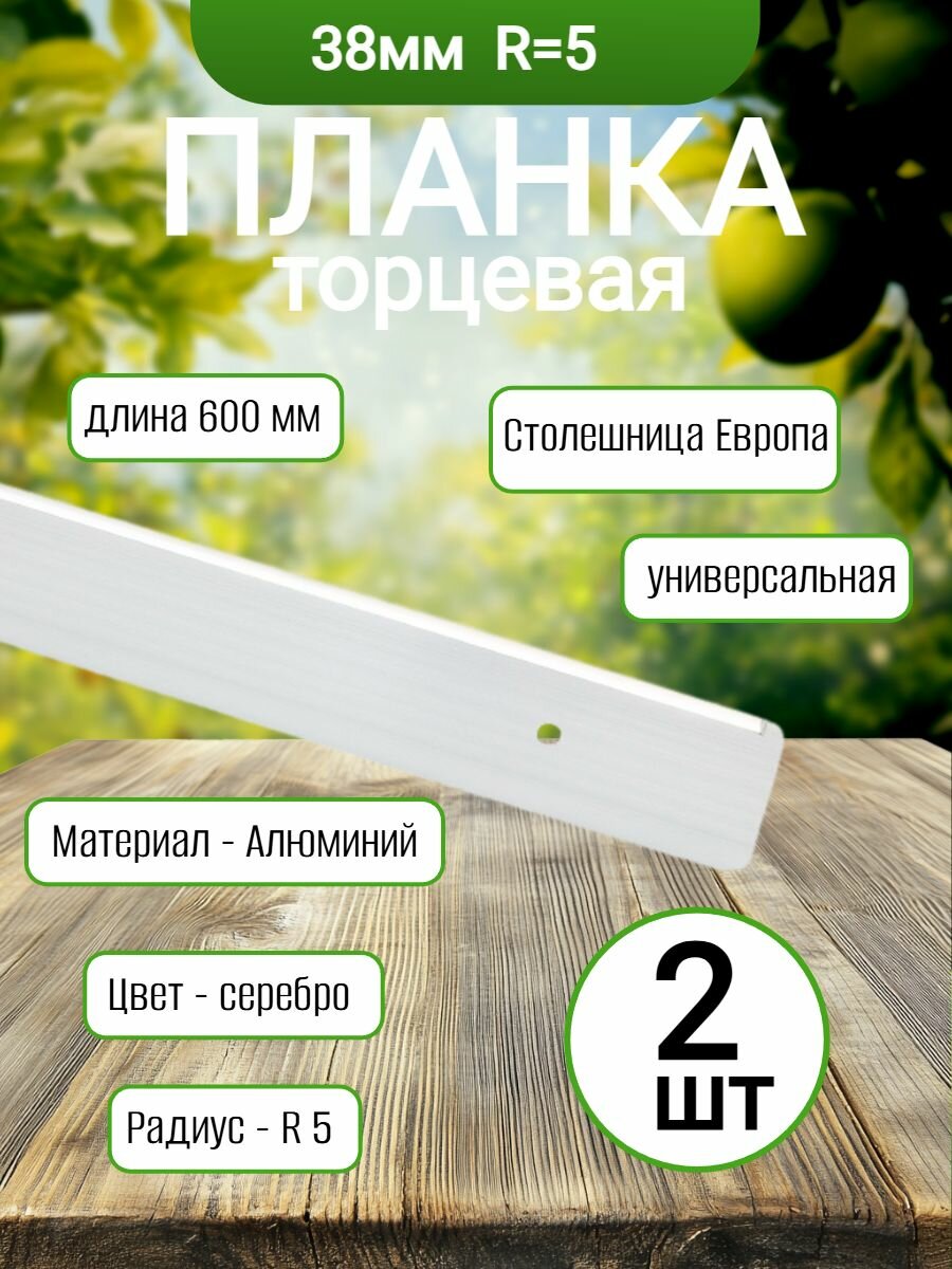 Планка торцевая 600 мм, универсальная , серебристая , 38мм,2 шт.