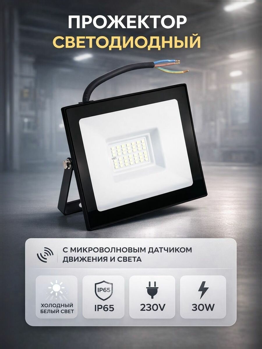 Прожектор светодиодный 30Вт СДО-30 с микроволн. датчиком движения и света 2000Лм 6500К 230В IP65 32