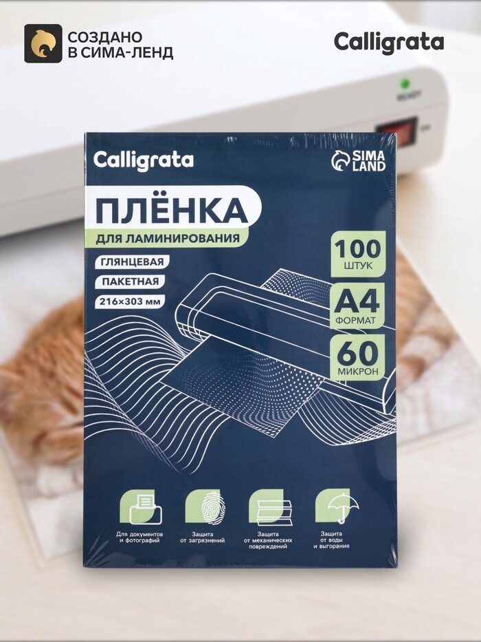 Пленка для ламинирования A4, 100 штук, глянцевая, 60 мкм, 216×303 мм