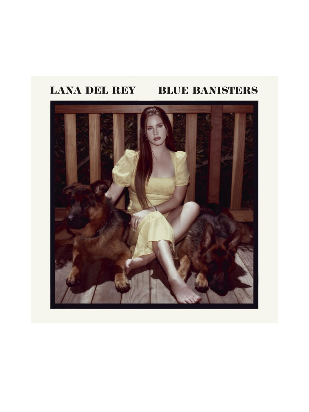 Виниловая пластинка Lana Del Rey – Blue Banisters, формат 2LP