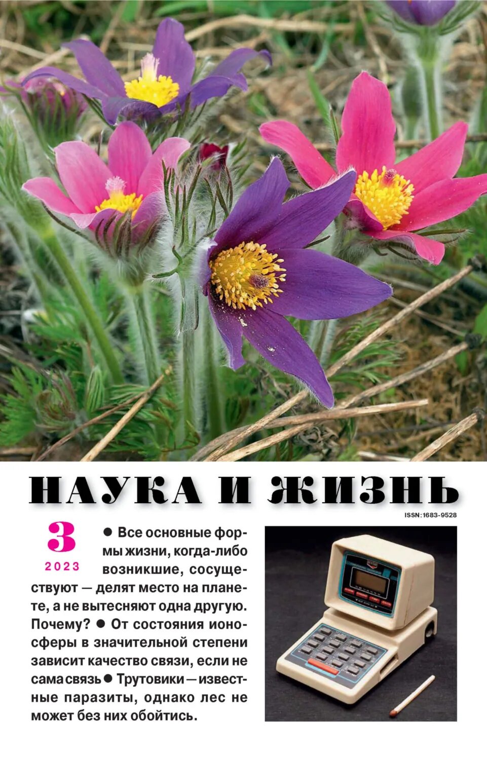 Наука и жизнь №03/2023 [Цифровая книга]