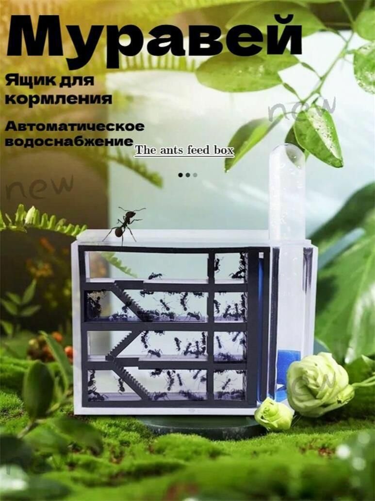 Муравьиная ферма