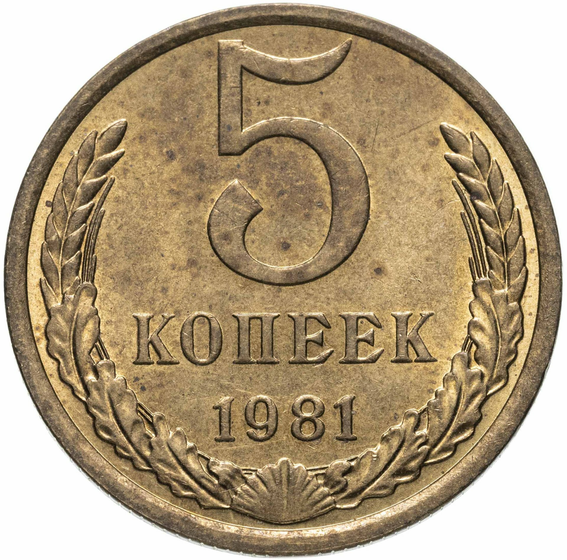5 копеек 1981, Латунь, в сохранности AU