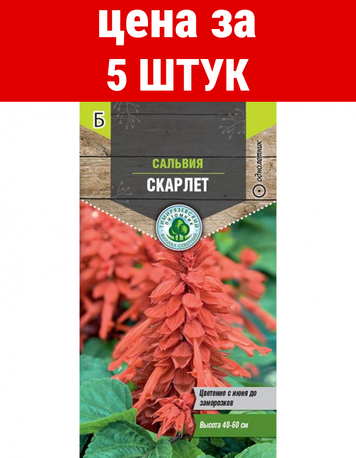 Комплект 5 шт, Семена Тимирязевский питомник цветы сальвия Скарлет 0.1г