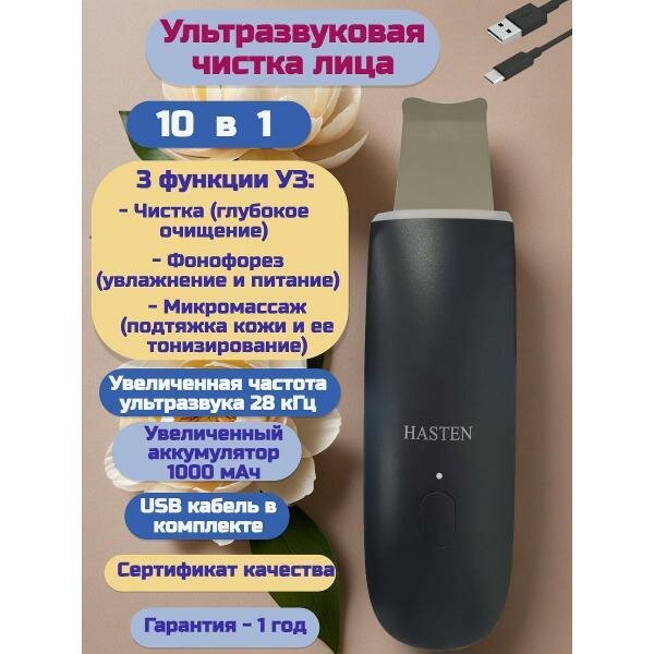 Аппарат для ультразвуковой чистки и массажа лица HASTEN HAS1900