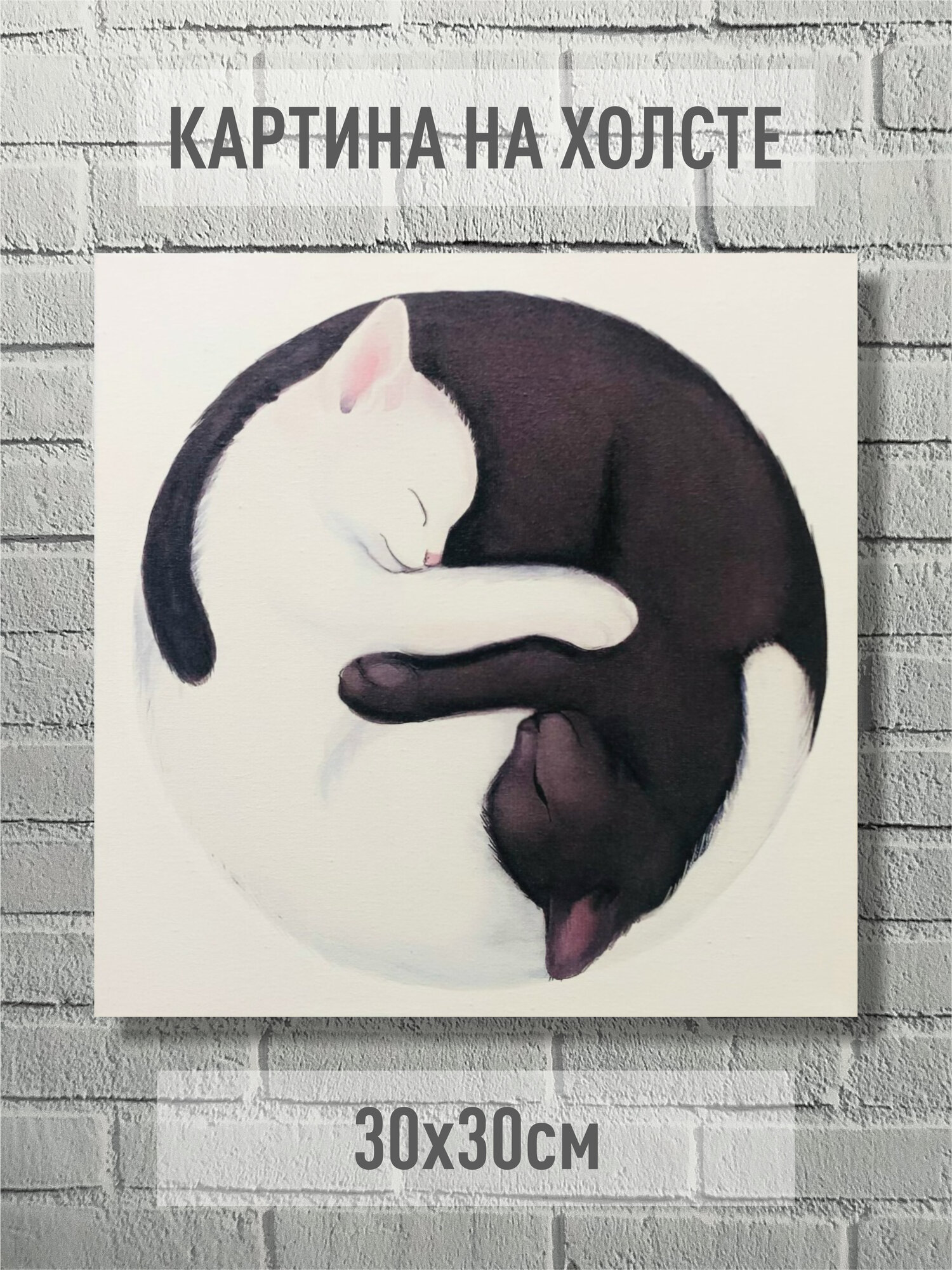 Картина "Спящий инь-янь", холст из 100% хлопка, УФ-печать, 30x30 см