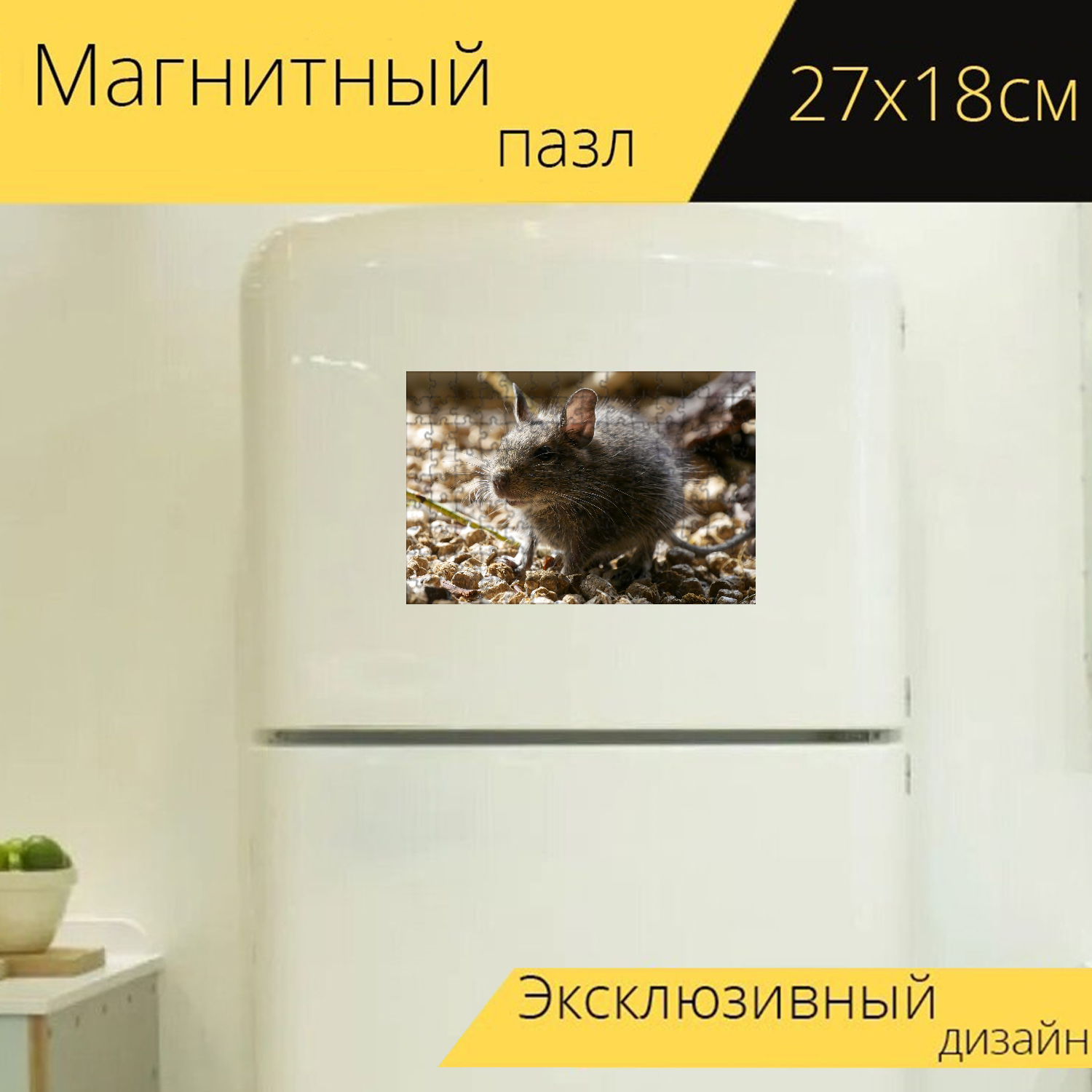 Магнитный пазл "Дегу, грызун, носить крысу" на холодильник 27 x 18 см.