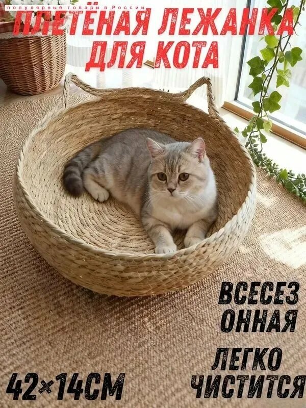 Плетёная лежанка для кота: 42x14см, всесезонная, легко чистится