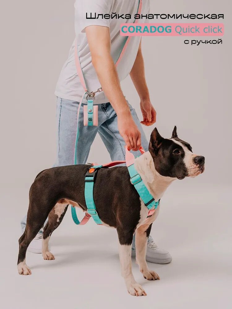 Шлейка широкая с ручкой прогулочная анатомическая для средних и крупных пород собак, CORADOG Quick click, размер M, цвет розовый, мятный