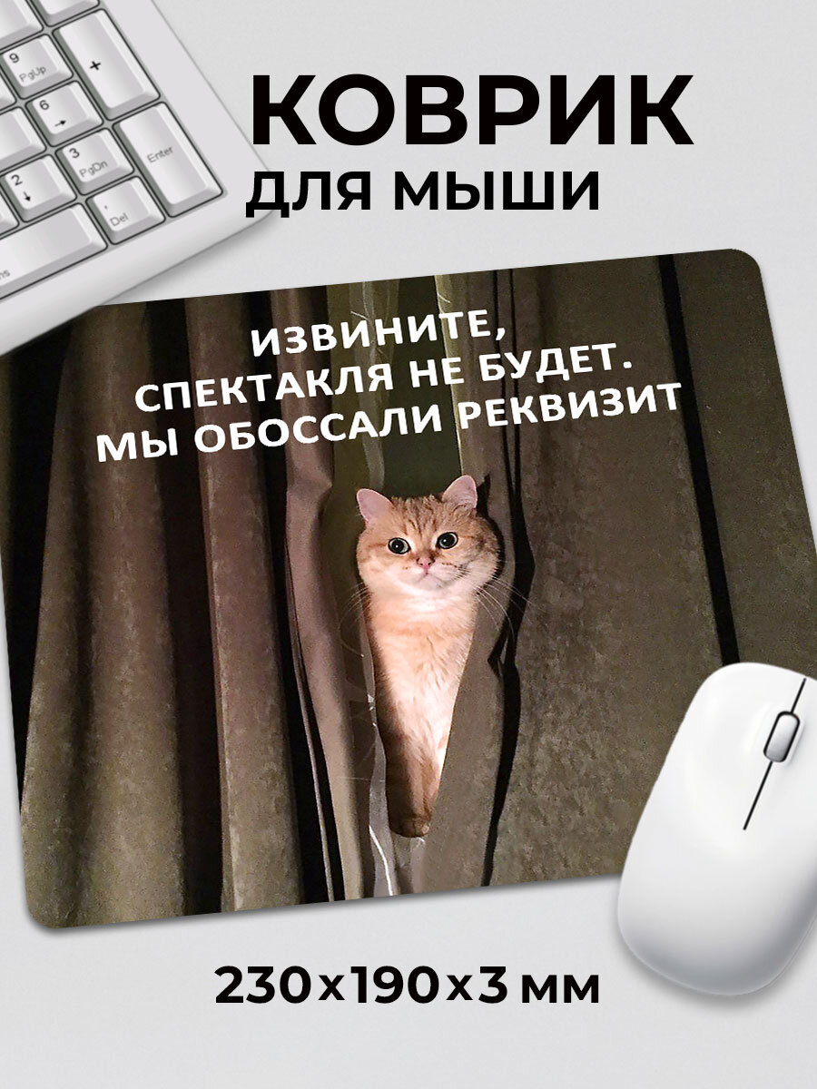 Коврик для мышки прикол мем кот Извините спектакля не будет