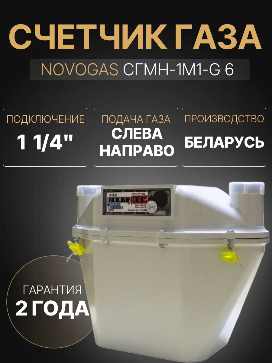 Счетчик газа СГМН-1М1-G 6 200 левый 1 1/4"