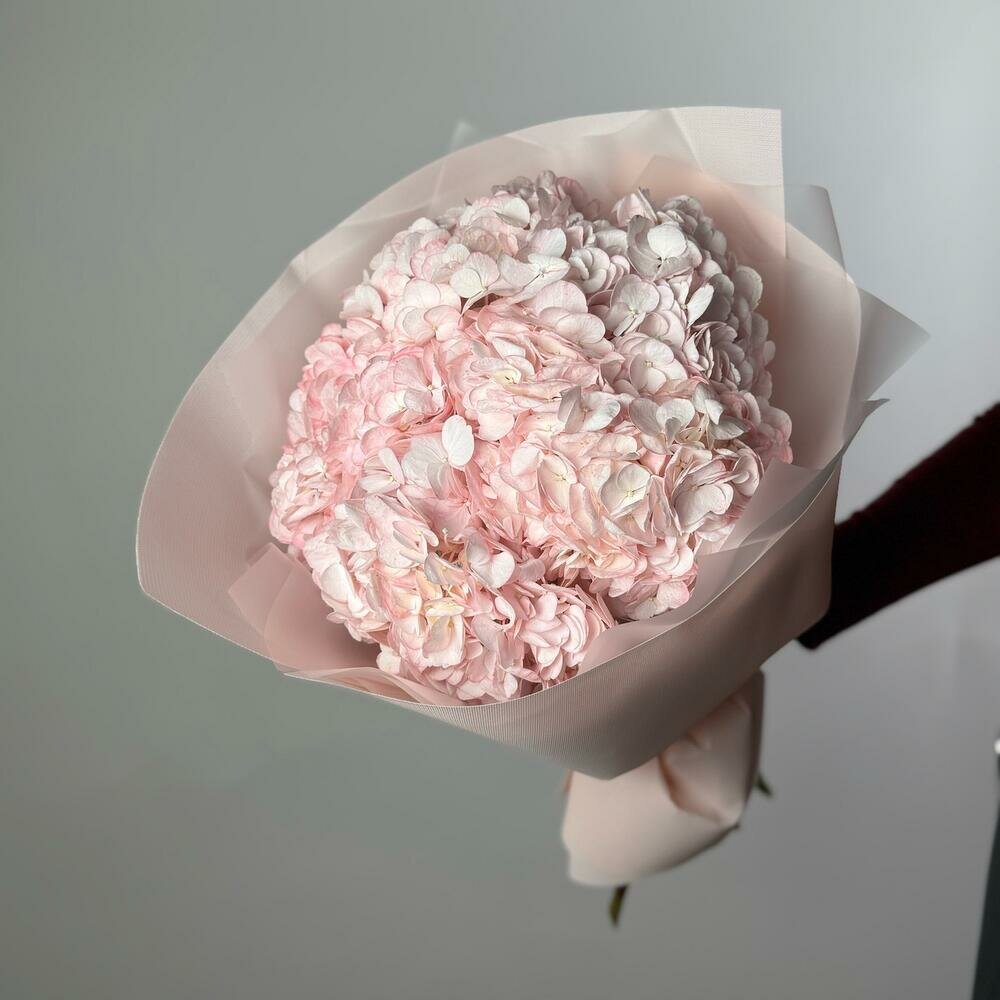 Букет цветов из 5 колумбийских гортензий розовых, высота 50 см