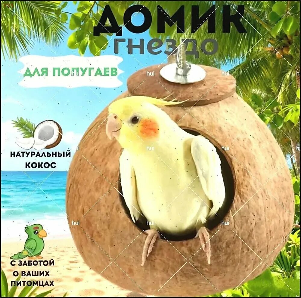 Гнездо для попугая из натурального кокоса и мусора, диаметр кокоса: 10-13 см, 1 шт