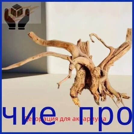 Коряга для аквариума натуральная/Коряга натуральная Сакура/Декорация для аквариума и террариума.
