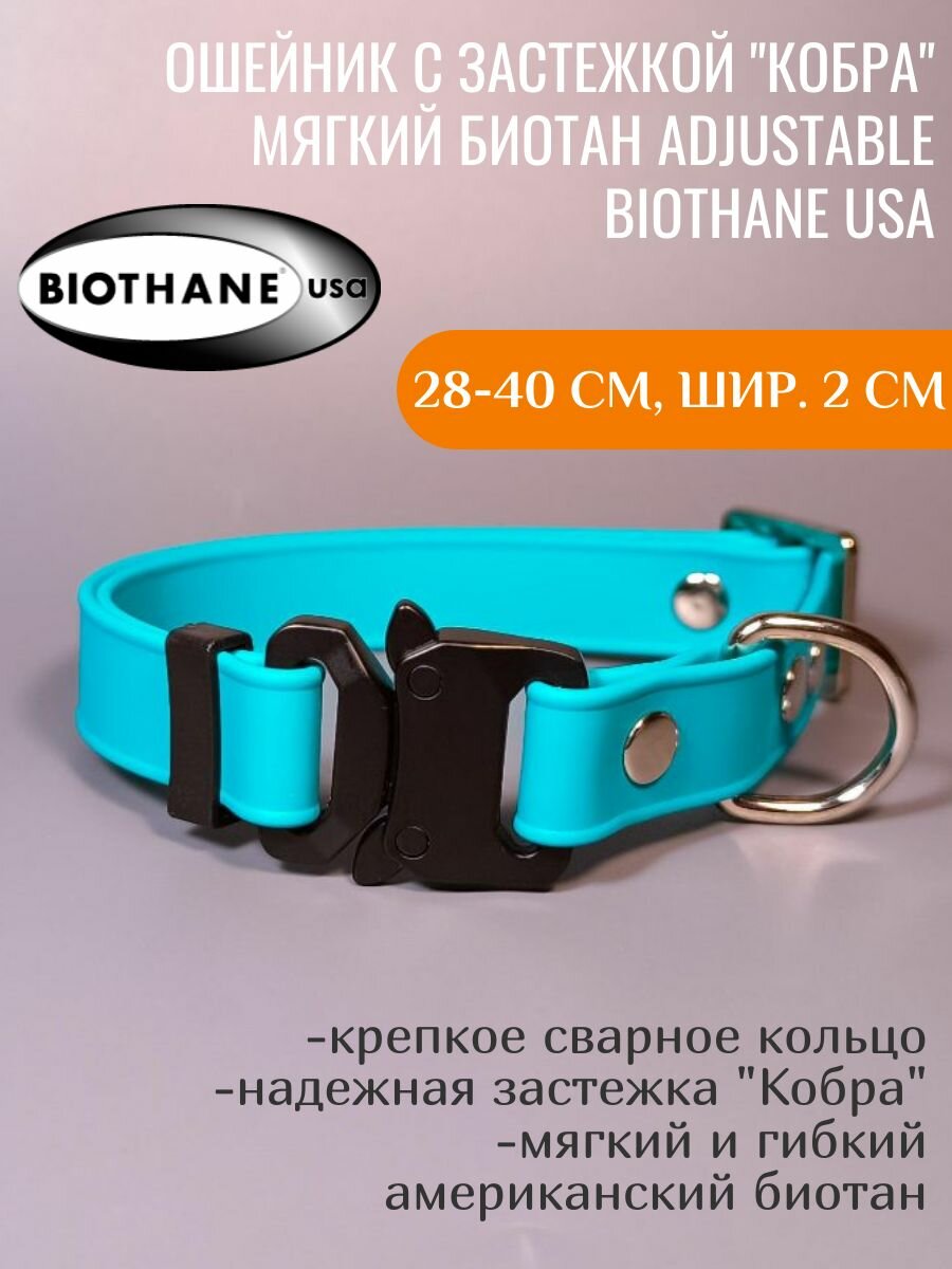 R-Dog Ошейник из мягкого биотана (Biothane USA), металлическая пряжка "Кобра", цвет бирюзовый, длина 28-40 см, ширина 2 см