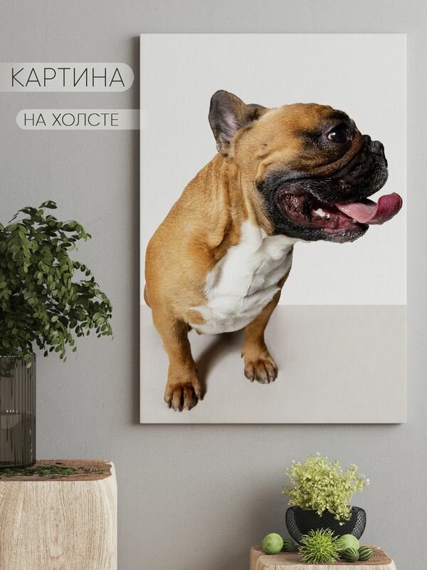 Картина на холсте милая собака Французский бульдог (22) 20х30 см