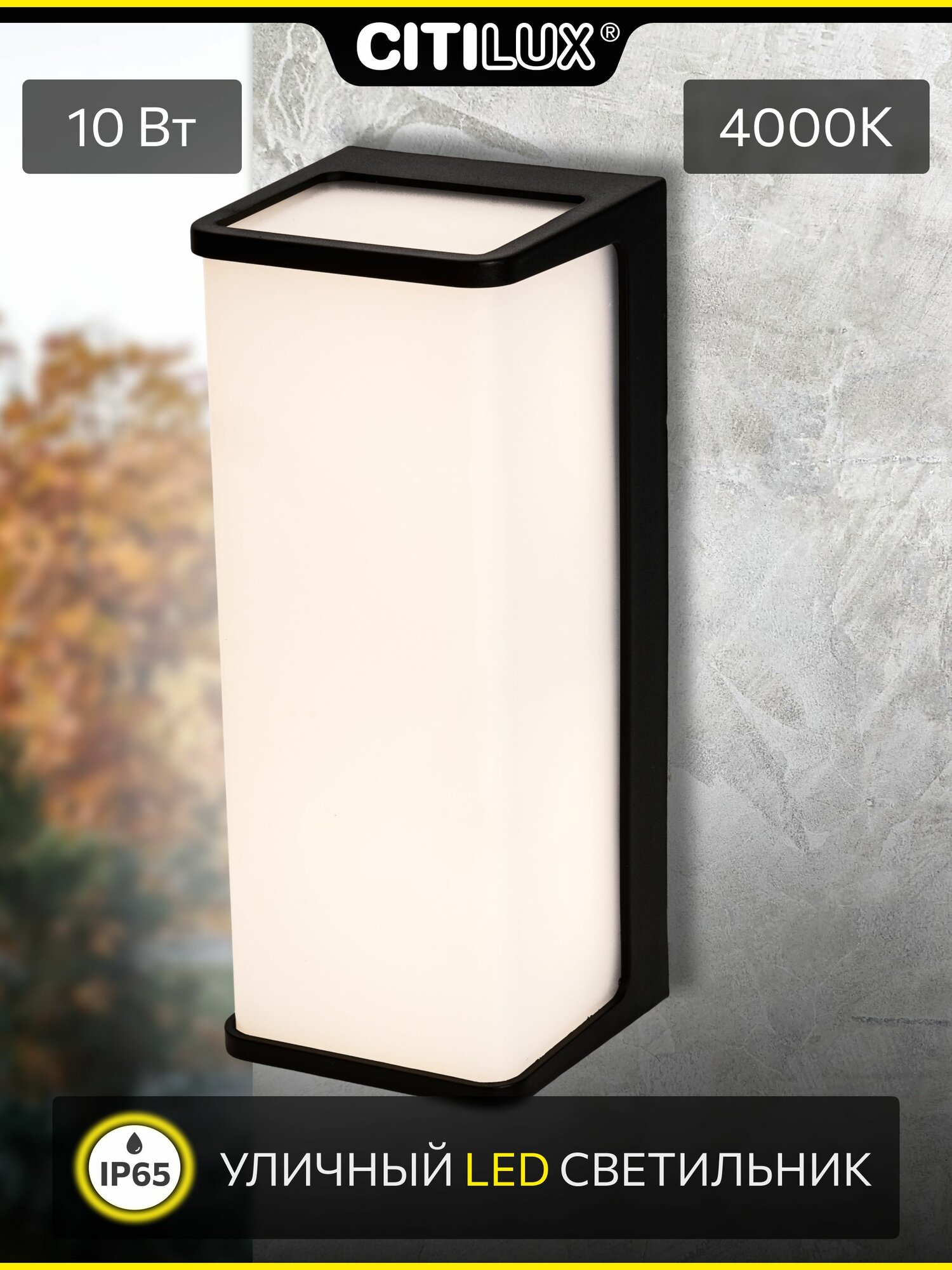 Настенный уличный светодиодный светильник для фасада IP54 10Вт 4000К черный LED современный Citilux DOMUS CLU0802