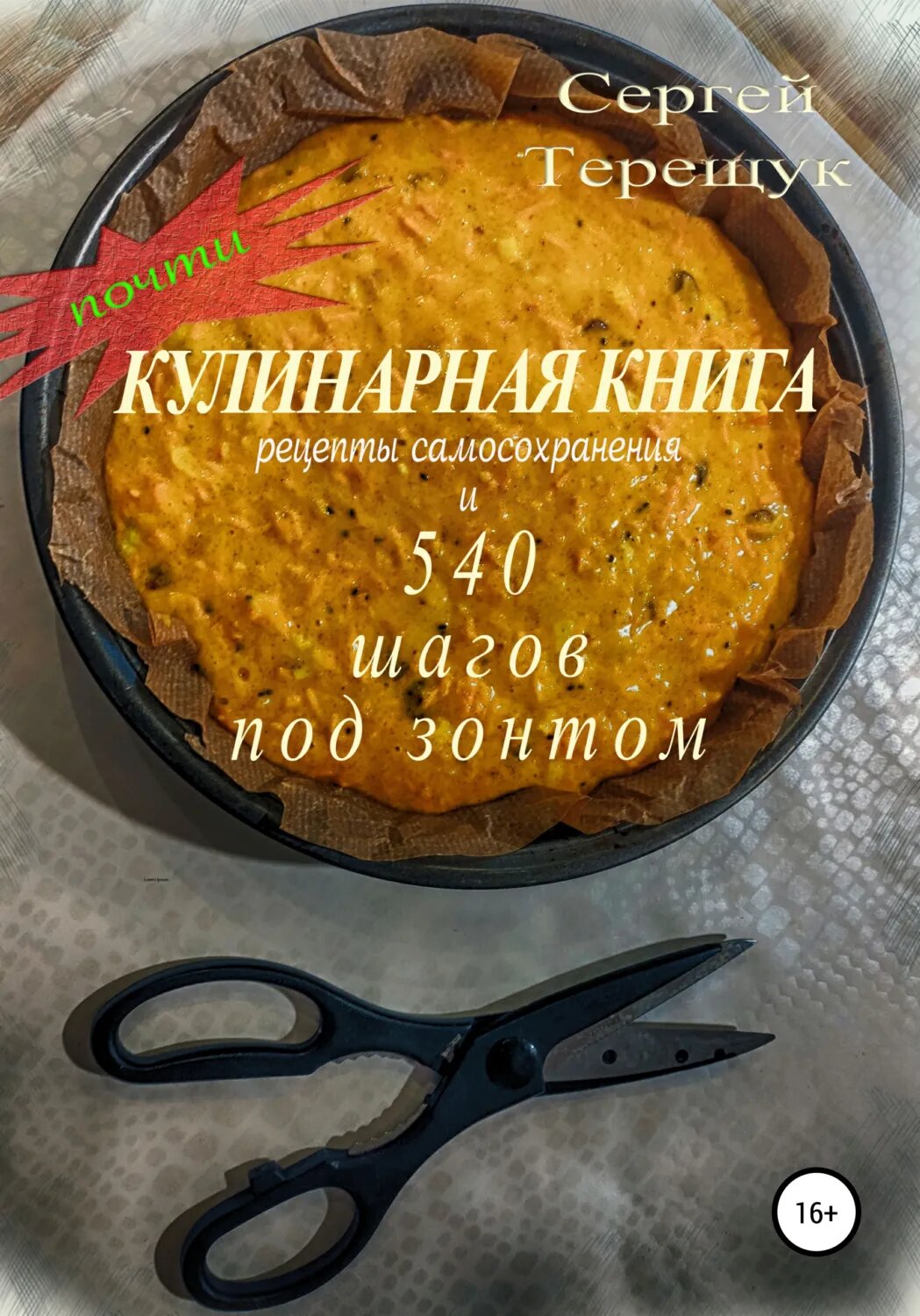 Почти кулинарная книга с рецептами самосохранения и 540 шагов под зонтом [Цифровая книга]