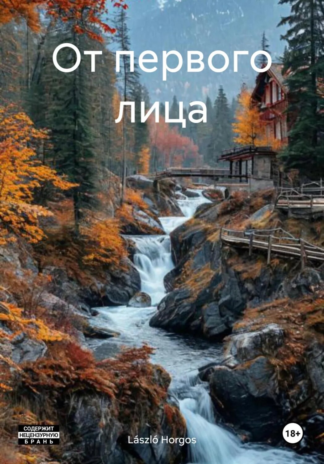 От первого лица [Цифровая книга]