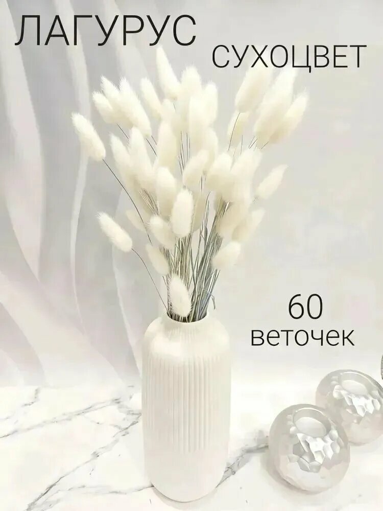 Сухоцветы Лагурус, 55 см, 100 гр, 60 шт