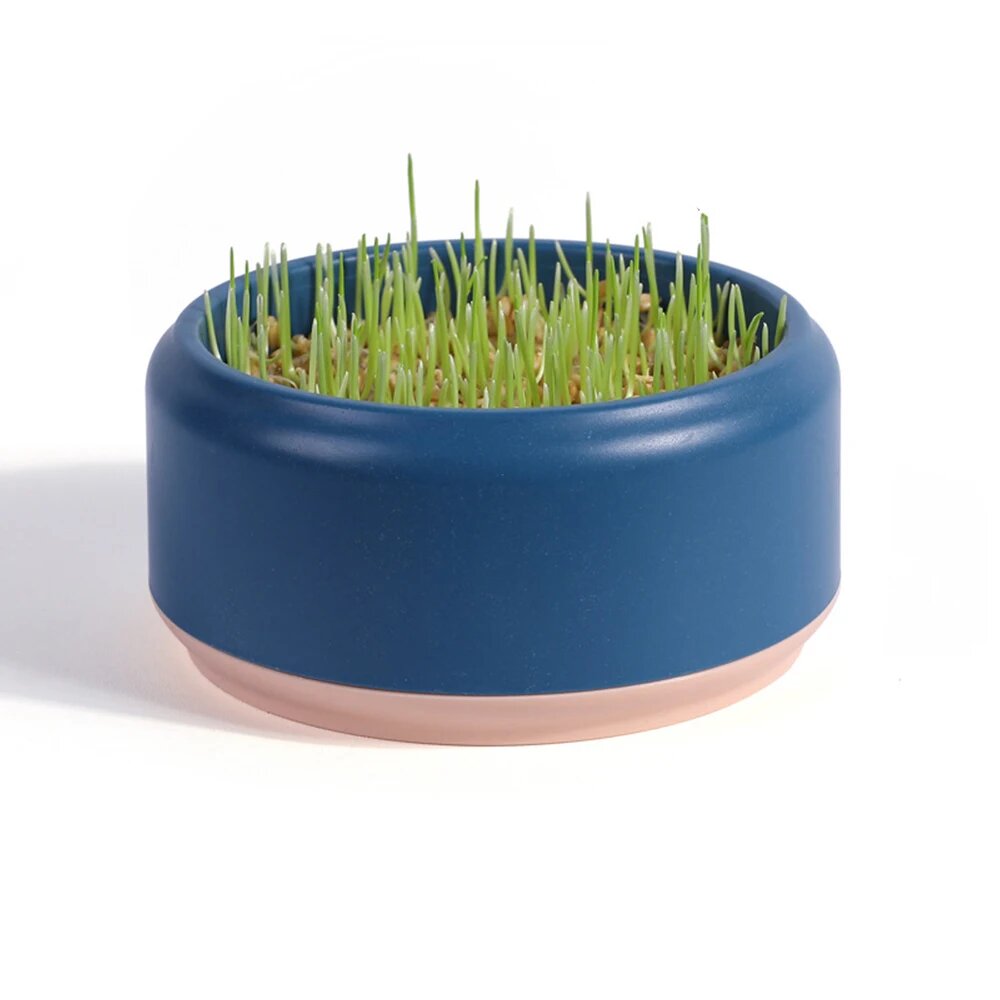 Гидропонный набор для проращивания, пластик Style 1