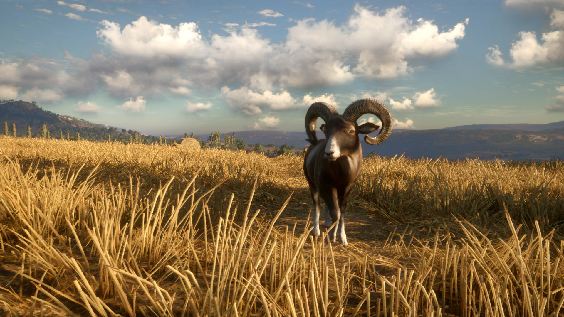 TheHunter: Call of the Wild - Cuatro Colinas Game Reserve DLC PC Steam Ключ