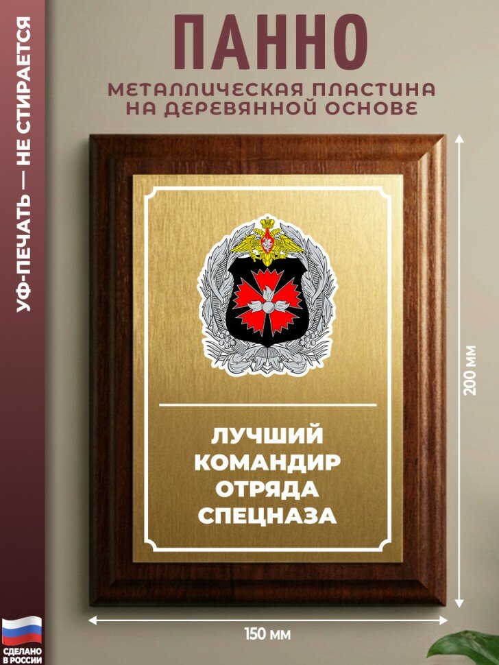 Настенный диплом "Лучший командир отряда спецназа"