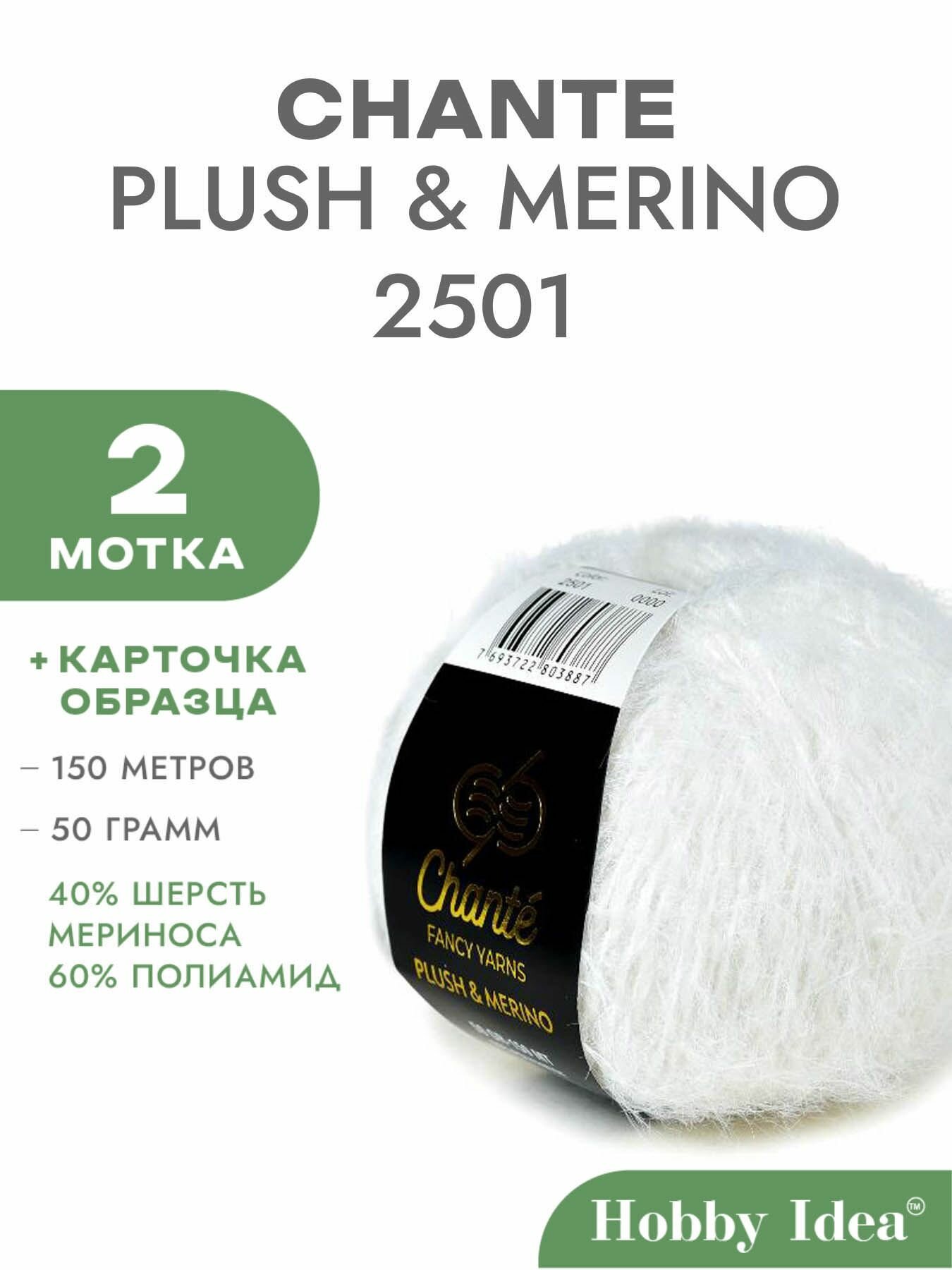 Пряжа Chante Plush & Merino 2501 Белый 2 мотка (Нитки пушистые Шантэ Плюш и Мерино)