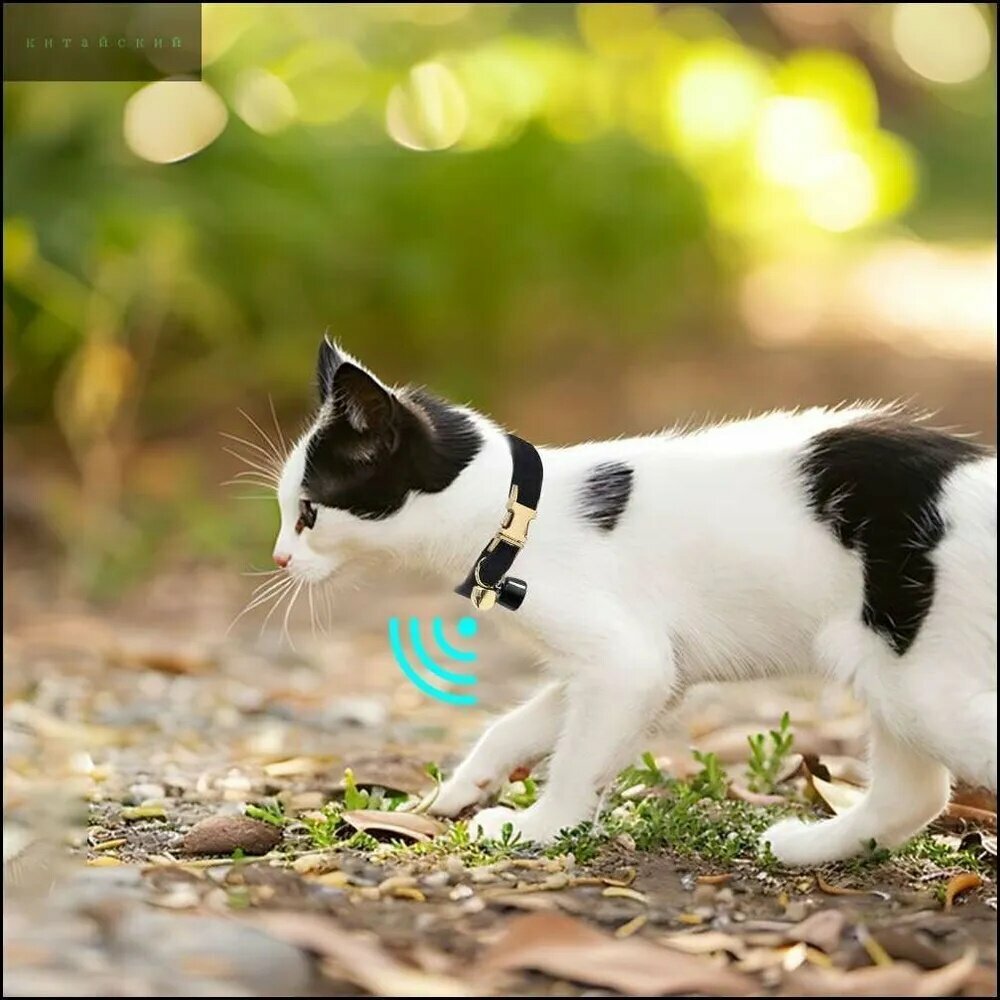 Умный ошейник для кошек с GPS-локатором, отслеживанием звонков, защитой от потери и собак