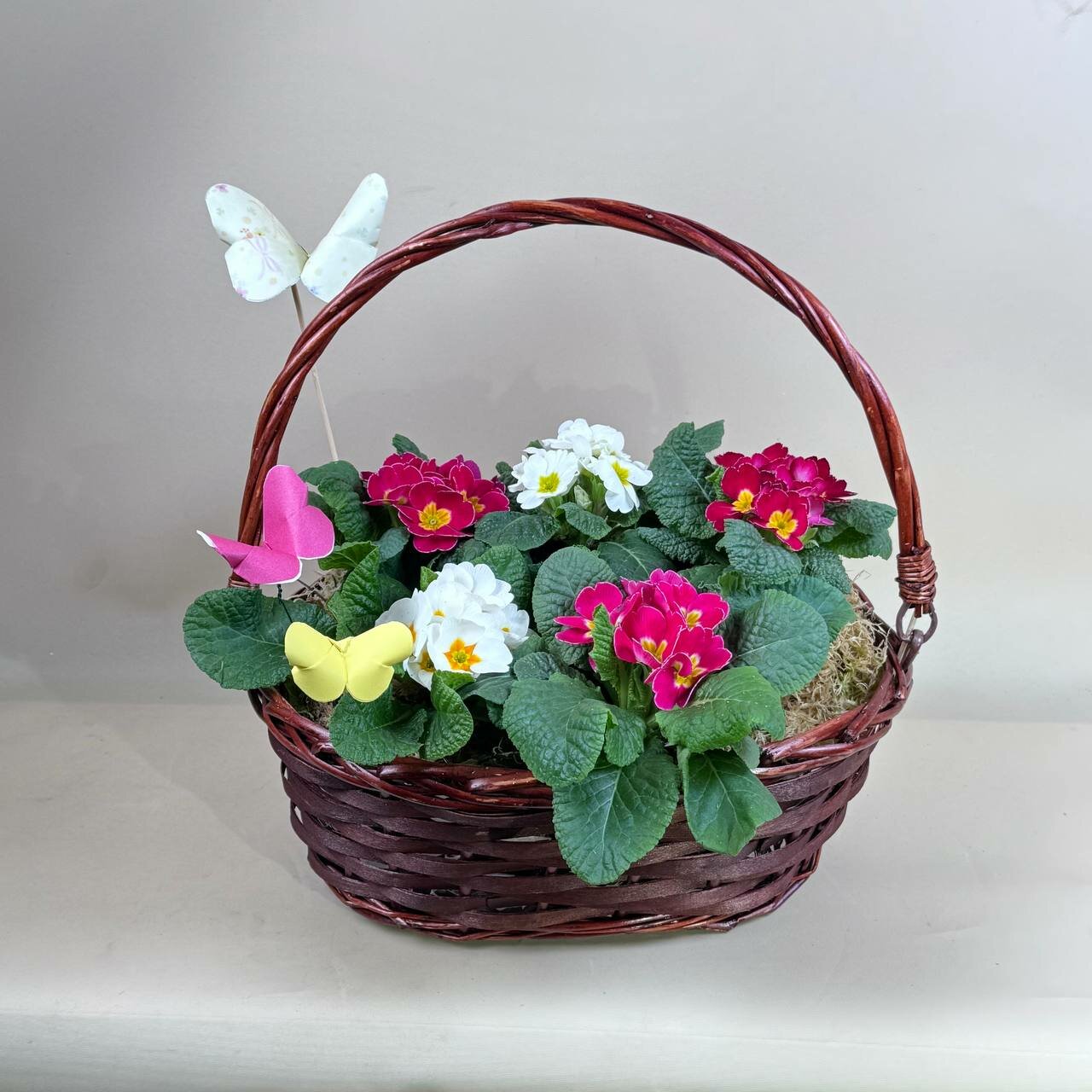 Корзинка с весенними первоцветами примулами с бабочками оригами в подарок на 8 марта