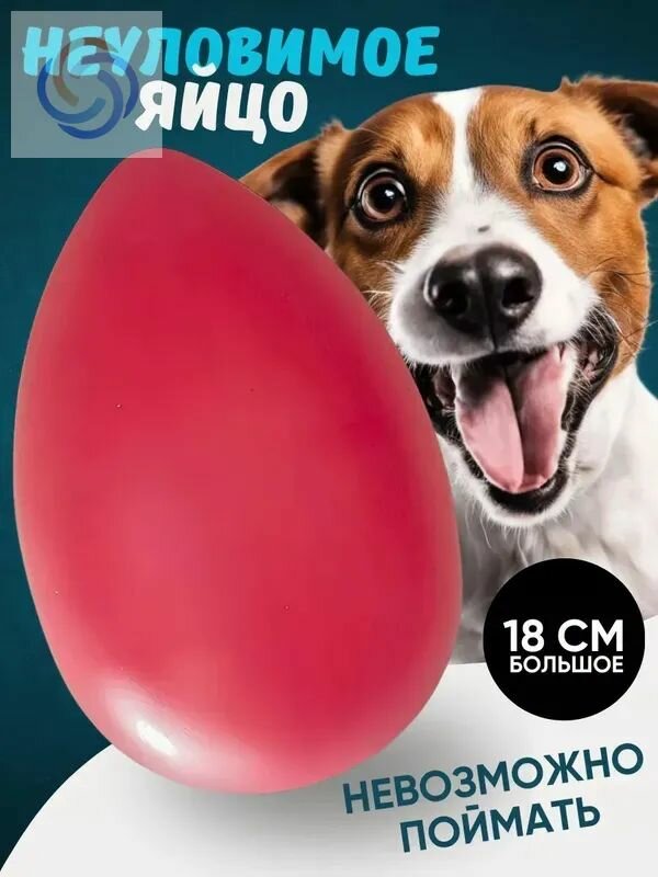 Игрушка для собак "Неуловимое яйцо", 18*10 см
