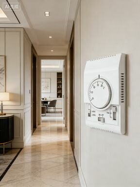 Терморегулятор/термостат