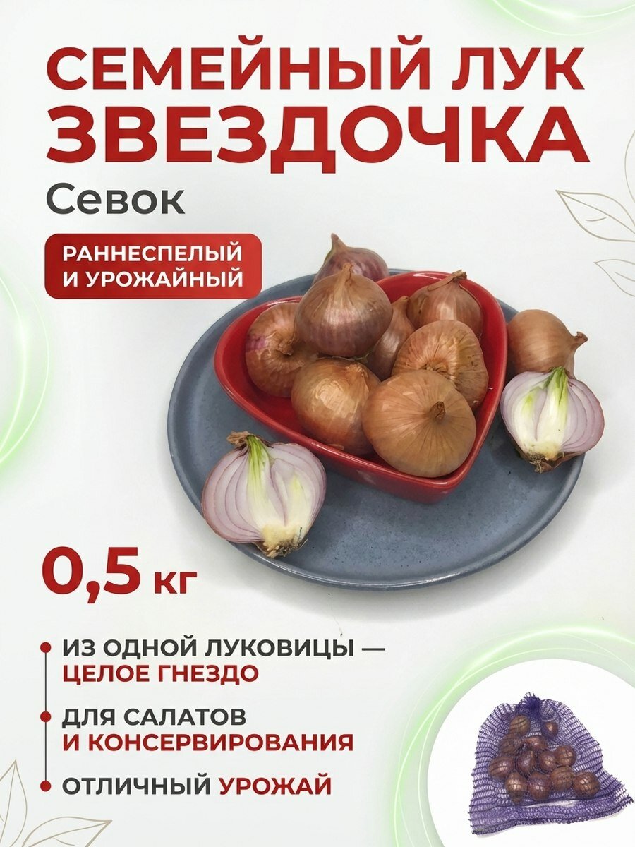 Лук шалот Звёздочка 0.5 кг для посадки, семейный лук на зелень и репку, сортовой севок, урожайный