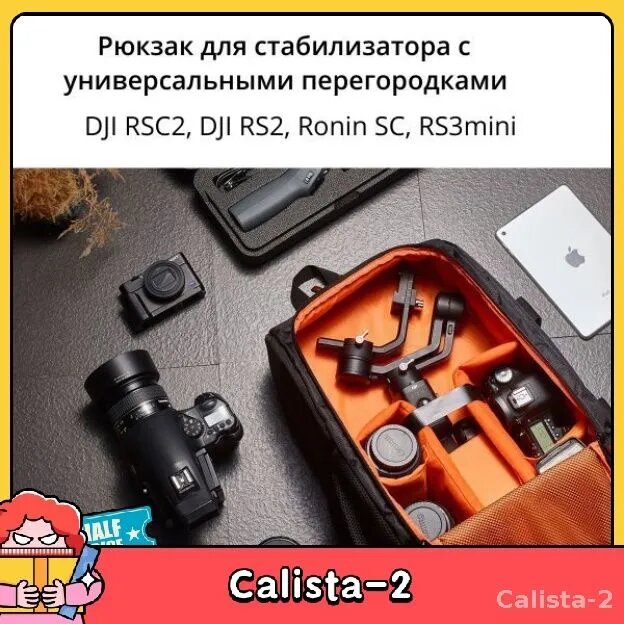 Рюкзак для стабилизатора с универсальными перегородками DJI RSC2, DJI RS2, Ronin SC, RS3mini, нейлон, защита от воды, Calista-2