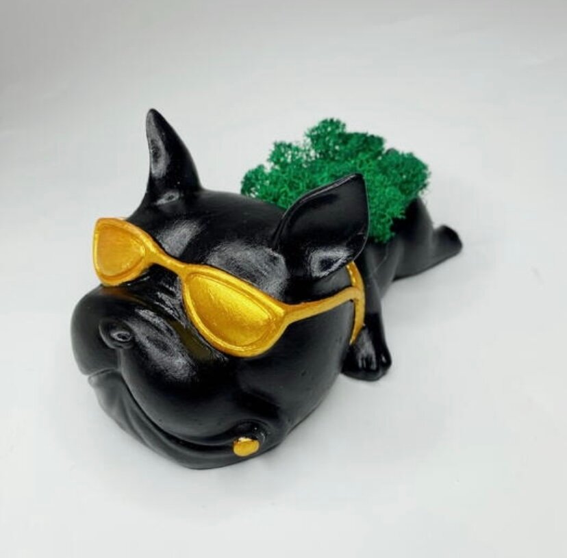 Стабилизированный мох в гипсовом кашпо «Черный бульдог в очках»