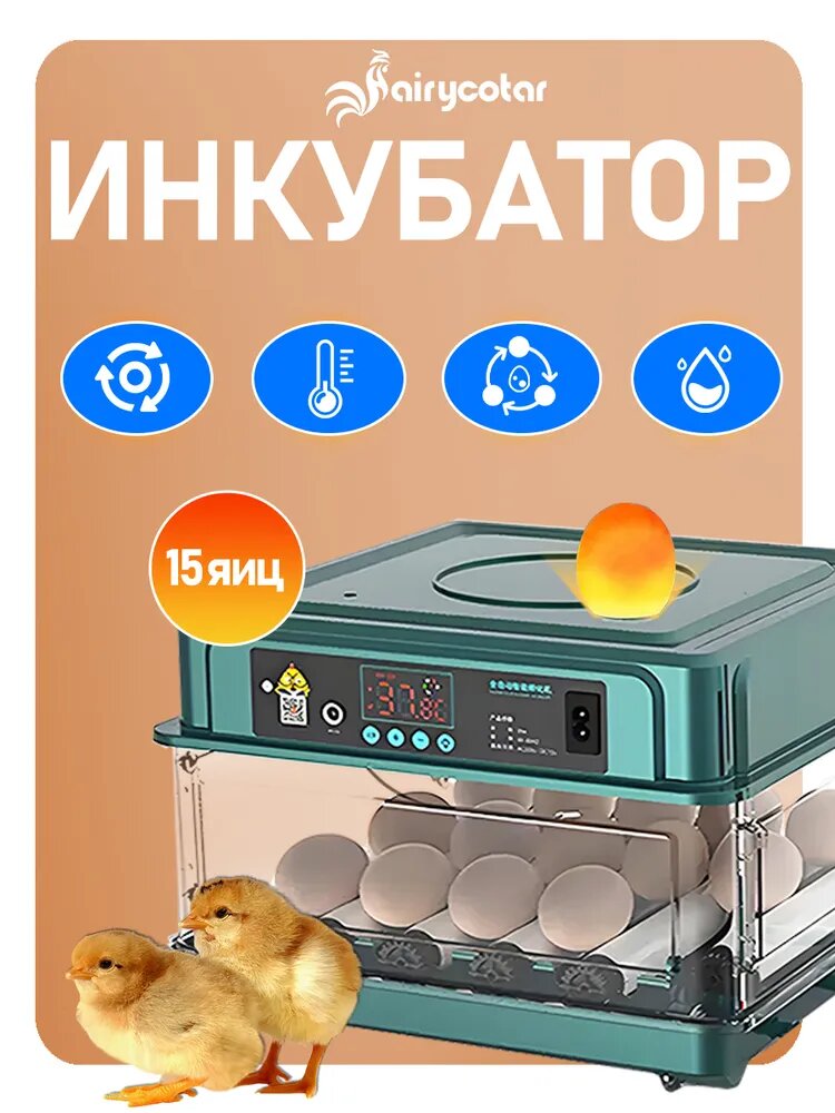 15 мини инкубатор для яиц автоматический 220B/12B