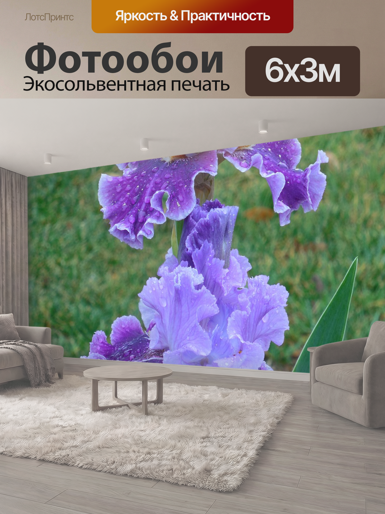 Фотообои "Ирис, блум, фиолетовый" 600x300 см. экосольвентная печать