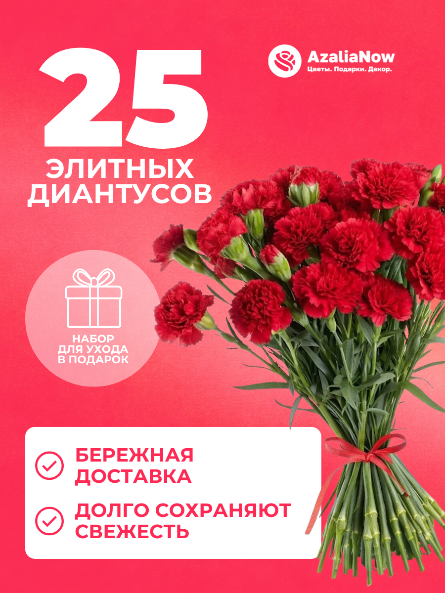 Букет из 25 красных гвоздик под ленту, Диантус, Голландия от АзалияНау