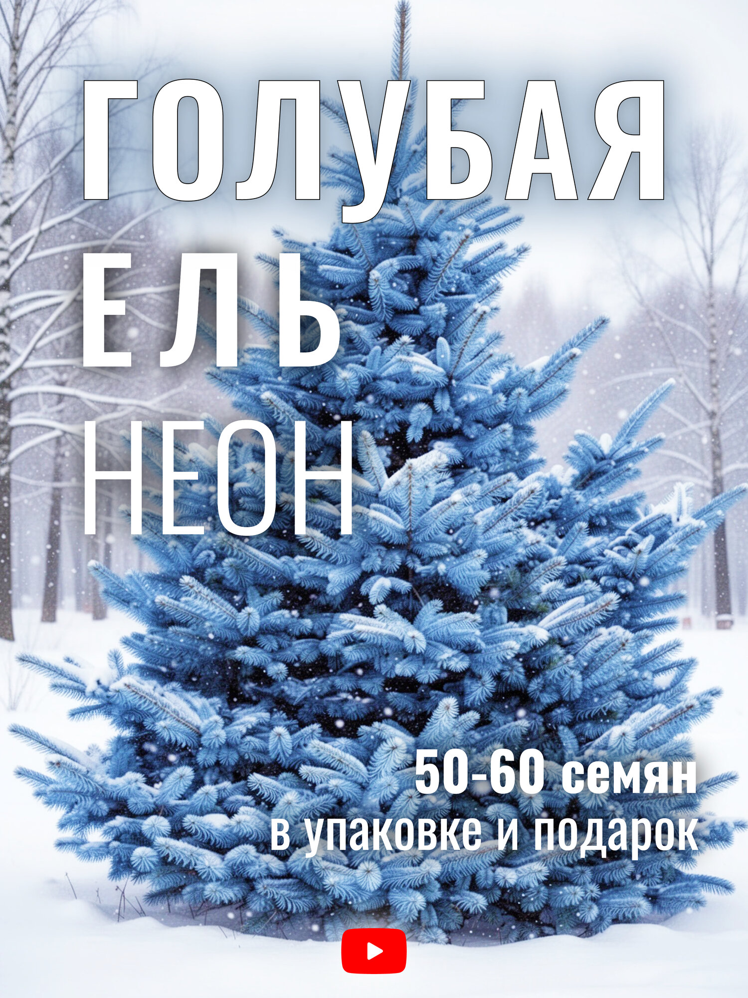 Ель Голубая Неон, Семена 50 шт, семена хвойных растений, семена деревьев