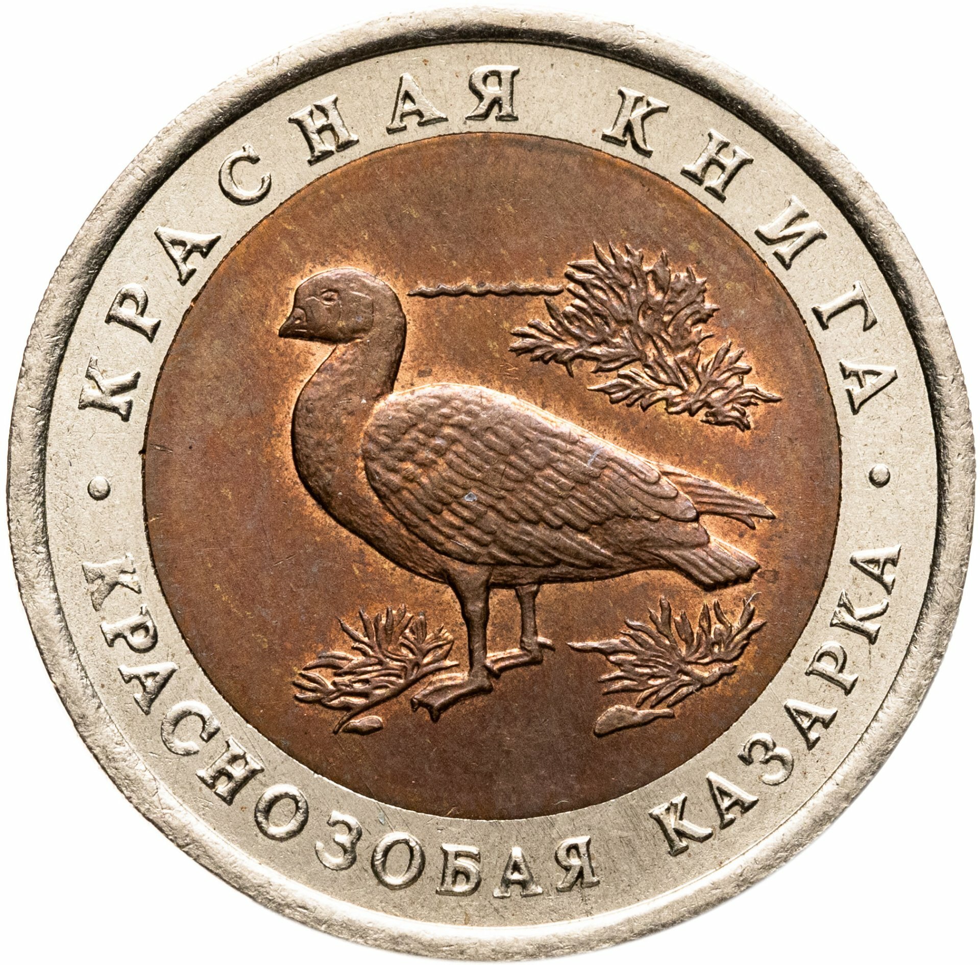 10 рублей 1992 ЛМД краснозобая казарка, Биметалл, в сохранности AU