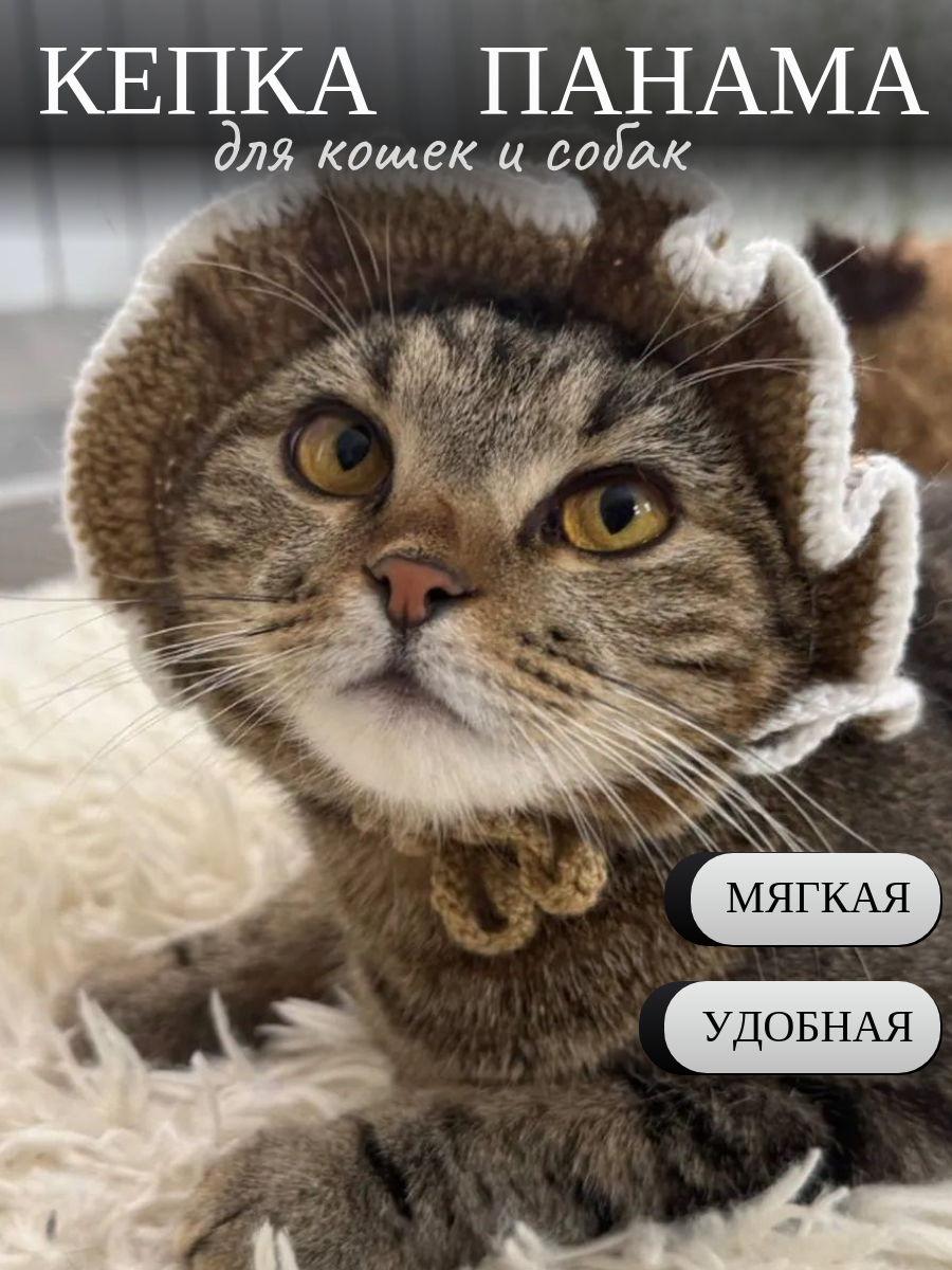 Шапка панама для кота и кошки для маленьких собак, летняя на завязках