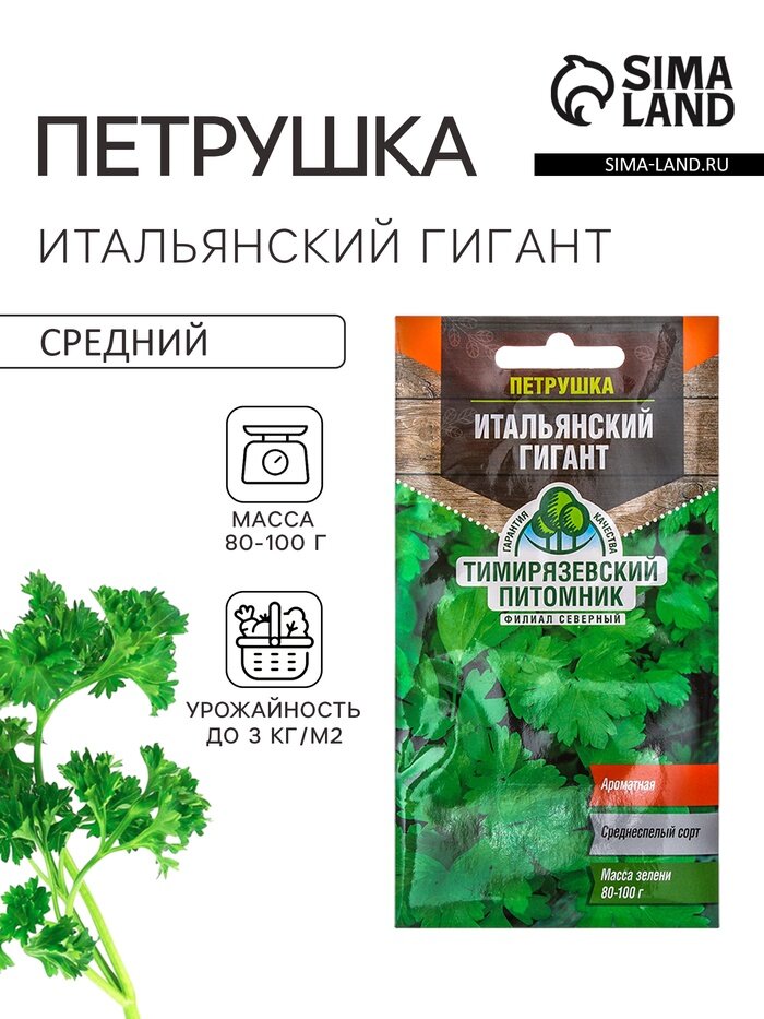 Семена Петрушка листовая «Итальянский гигант», 3 г, «Тимирязевский питомник»
